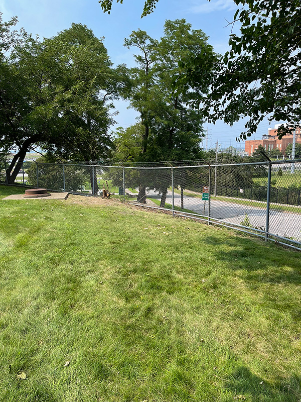 Professional and Dependable Brush Cutting & Land Clearing in Ohio ...