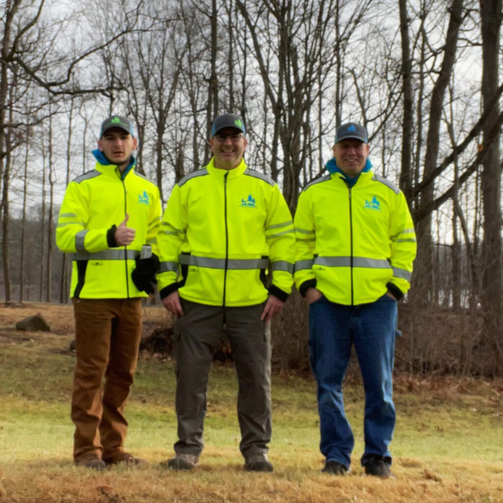 About - Sierra Tree and Brush Control