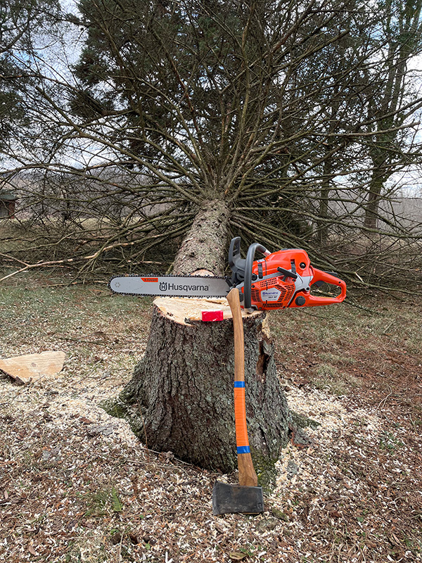 Tree Services - Sierra Tree and Brush Control